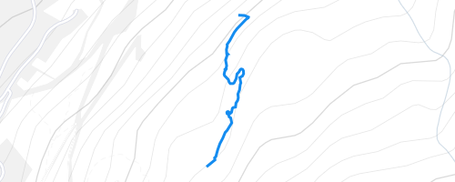 Lower Blackcomb Bench Climb Multi Trail - Whistler