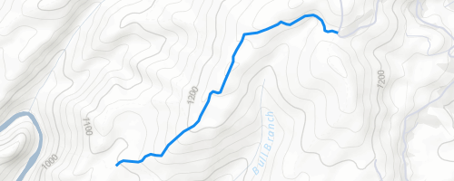 Long Arm Trail Hiking Trail - Marion, North Carolina