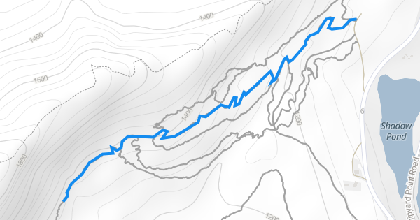 Bootlegger Mountain Biking Trail - Greenville, Maine