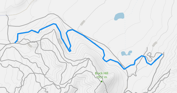 Badger Canyon Dirtbiking Trail - Ephraim, Utah