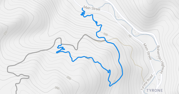 Monte Rio Redwoods Trail Mountain Biking Trail - Monte Rio