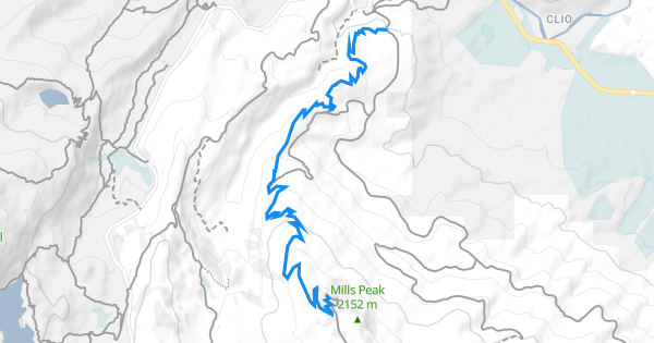 Mills Peak Trail Mountain Biking Trail - Graeagle, CA