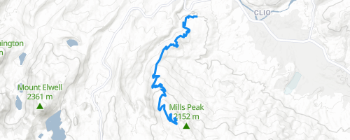 Mills Peak Trail Mountain Biking Trail - Graeagle, CA