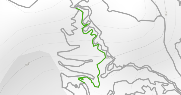 Redwood Loop (Down) Mountain Biking Trail - Dunedin