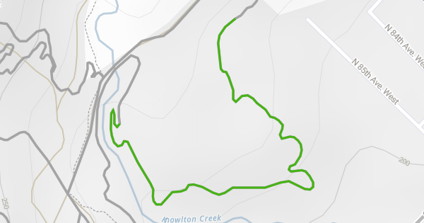 Fern Gully Mountain Biking Trail - Duluth, MN