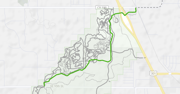 Florida Trail - Santos Hiking Trail - Ocala, Florida