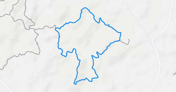 Torreya Challenge Loop Hiking Trail - Blountstown, FL