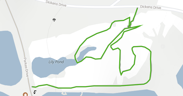 Flying Foxes Hiking Trail - | Trailforks