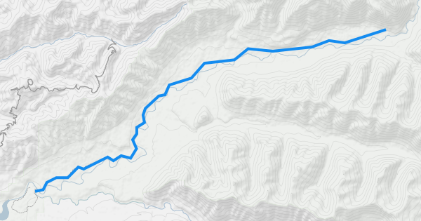 Queets River Trail Multi Trail - Port Angeles, Washington