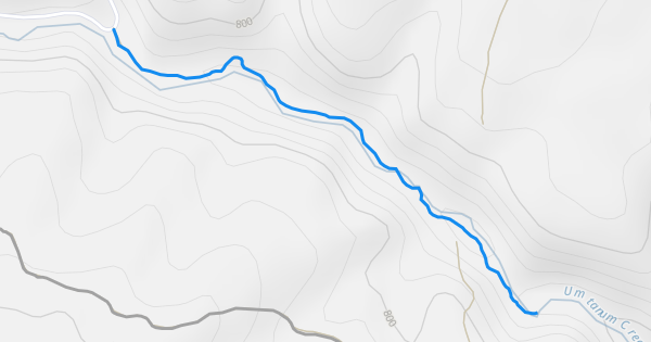 Umtanum Creek Falls Trail Multi Trail - Ellensburg