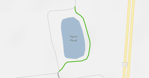 Taylor Pond Trail Multi Trail - Cape Charles, Virginia