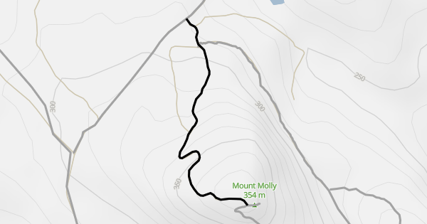 Mount Molly Trail - North Side Multi Trail - New Durham