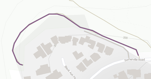 Backlash Trail Multi Trail - Mt Colah, Hornsby