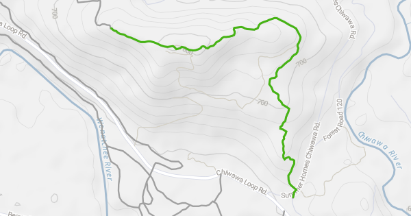 Flying Loop Trail Multi Trail - Plain, WA | Trailforks