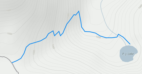 PJ Lake Trail Multi Trail - Port Angeles, Washington