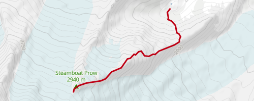 Mount Ruth Summit Trail Hiking Trail - Ashford, WA