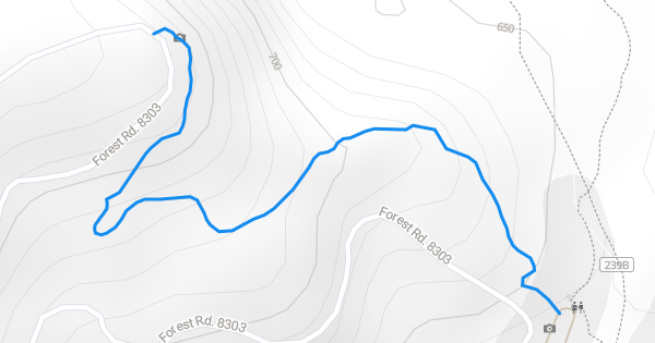 Volcanic Viewpoint Trail Multi Trail - Randle, Washington