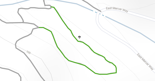 Engstrom Loop Trail Multi Trail - Mercer Island, WA