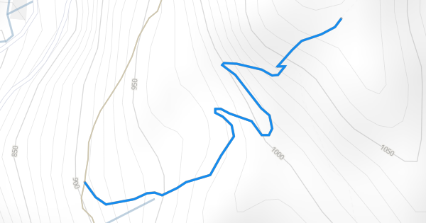 Orca trail Mountain Biking Trail - Baselga di Pine'