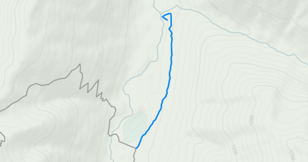 Chilliwack River Trail North Hiking Trail - Glacier