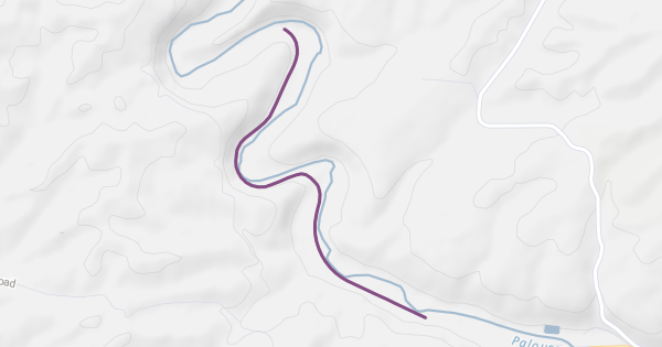 Colfax Trail Mountain Biking Trail - Colfax, WA