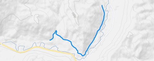 Nason Ridge Trail Skiing Trail - Plain, Washington