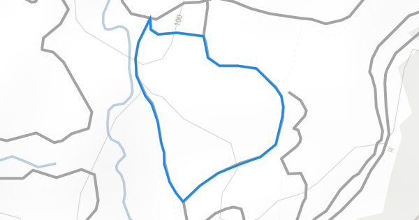 Pine Loop Trail Mountain Biking Trail - Burtonsville