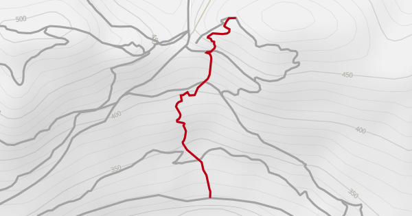 Fall Line Trail Mountain Biking Trail - Fairmont, WV