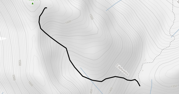 Edelweiss Bowl Skiing Trail - Snoqualmie Pass, Washington