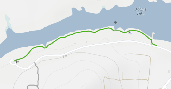 Adam Lake Trail Hiking Trail - West Union, Ohio