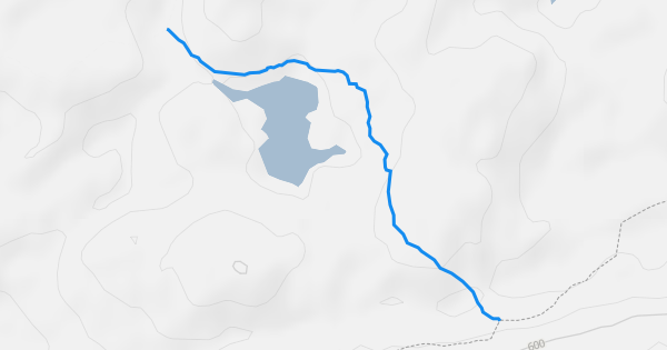 Dog Pond Loop Trail Multi Trail - Cranberry Lake, NY