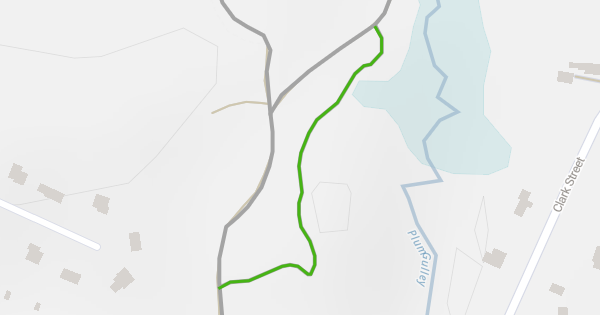 Plum Gulley View Path. Hiking Trail - South Windsor