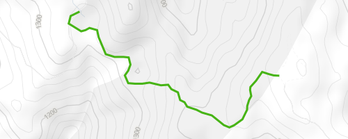 Keppel Hut Trail Multi Trail - Marysville | Trailforks