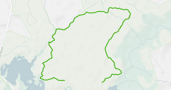 Lassiter Trail Hiking Trail - Gatesville, North Carolina