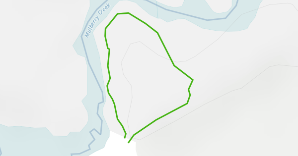 White Oak Swamp Loop Multi Trail - Urbanna, Virginia