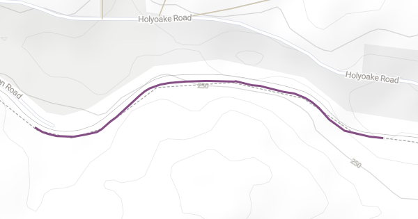 Holyoake Fireroad Mountain Biking Trail - | Trailforks
