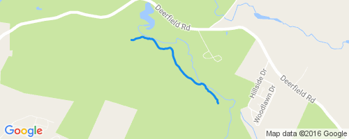 Bear Brook Lower Mountain Biking Trail - Allenstown