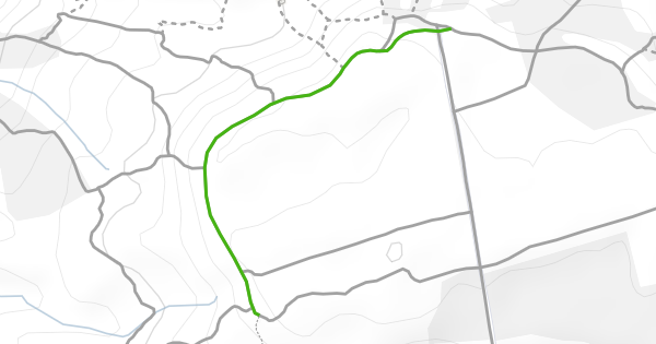 Bruce Trail - Loree West Loop Multi Trail - The Blue Mountains