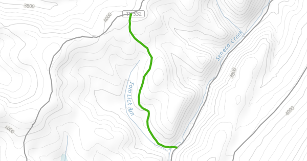 Tom Lick Trail Multi Trail - Seneca Rocks, West Virginia
