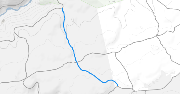 Lindy Run Trail Multi Trail - Davis, West Virginia