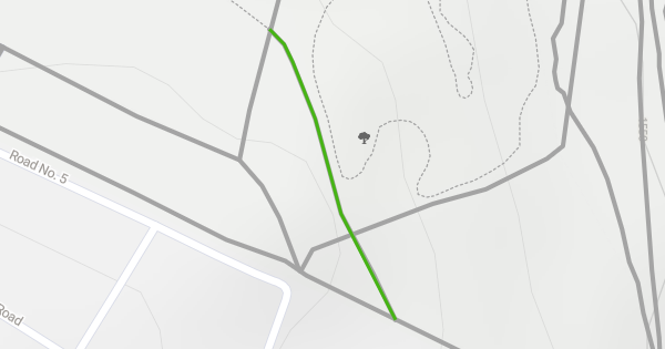 Scout Fence Line Multi Trail - Delta Park, Boksburg