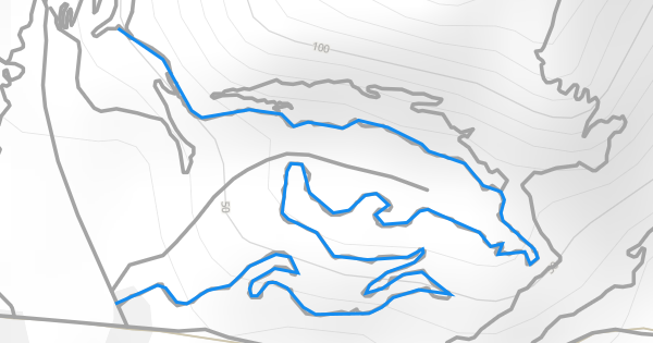 Bolt Mountain Biking Trail - Pan Pac MTB Park, Napier