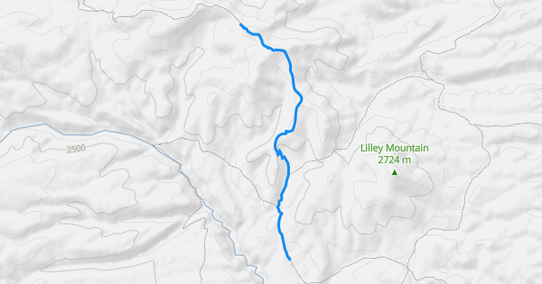 Lilley Park Trail (West of Lilley Mountain) Multi Trail - Silver City
