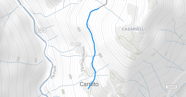 Carnito Multi Trail - | Trailforks
