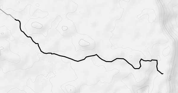 Fresno Canyon Overlook from Puerta Chilicote TH Multi Trail - Terlingua