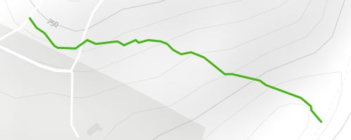 Hinterberg Trail Mountain Biking Trail - | Trailforks