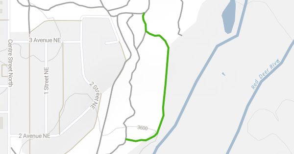 Confluence Mountain Biking Trail - Sundre, AB