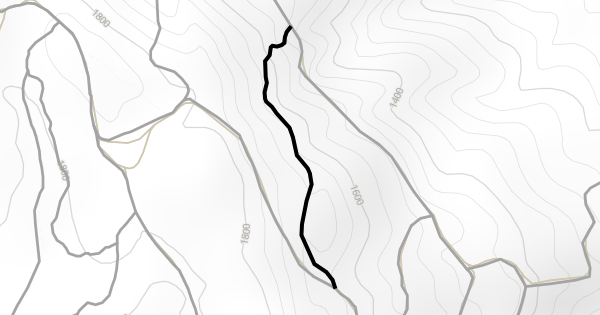 Maxwell Tree Multi Trail - Angwin, California