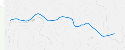 Mount Canobolas Road Mountain Biking Trail - Orange