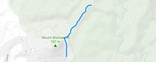 Lower Chadwick Track Mountain Biking Trail - Gisborne